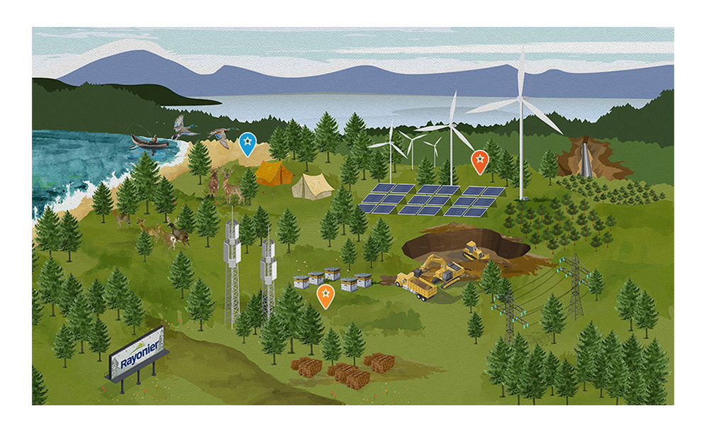 Rayonier branding, design and website development